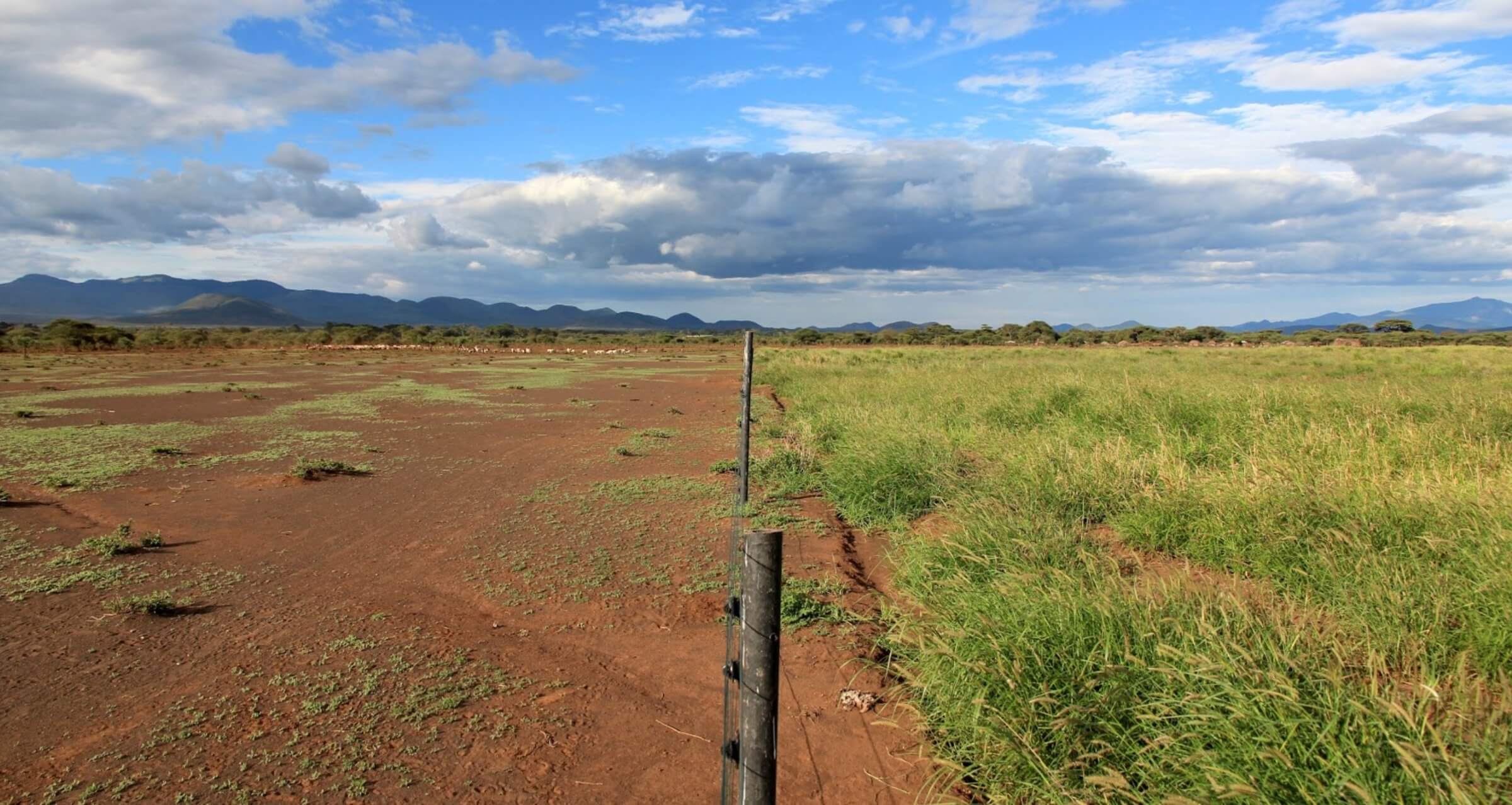 Land Restoration | Ecological & Environmental Restoration | Justdiggit