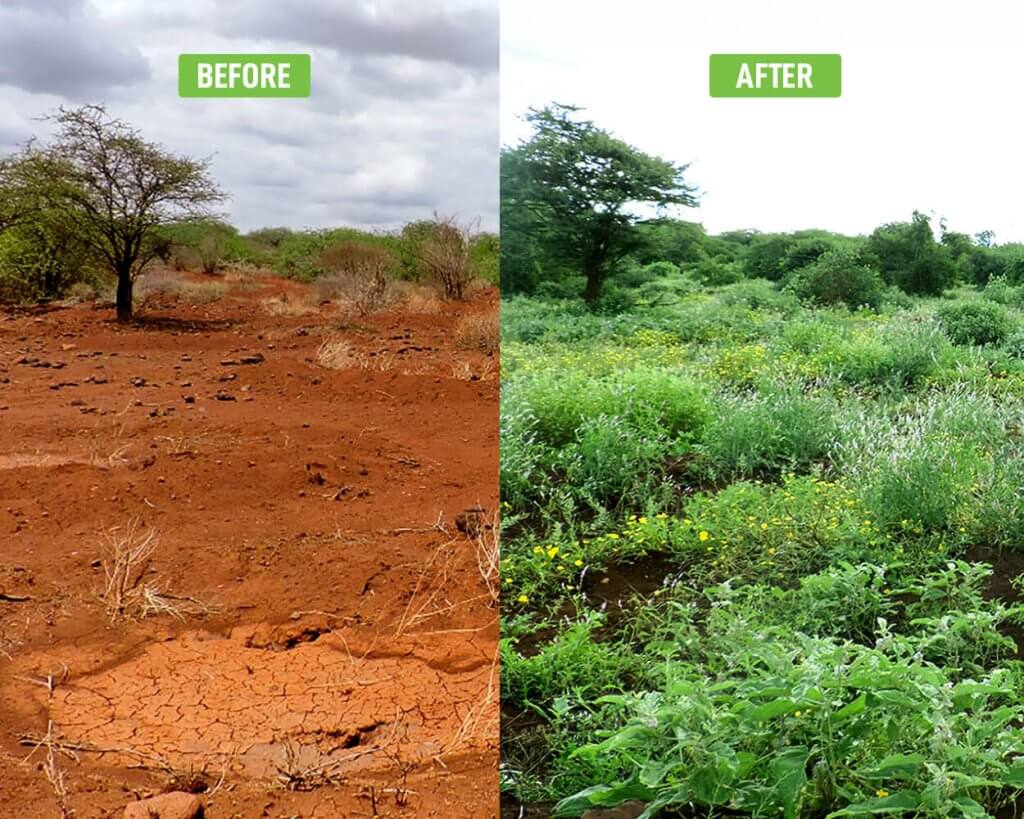 What are water bunds? Learn all about Earth Smiles! - Justdiggit