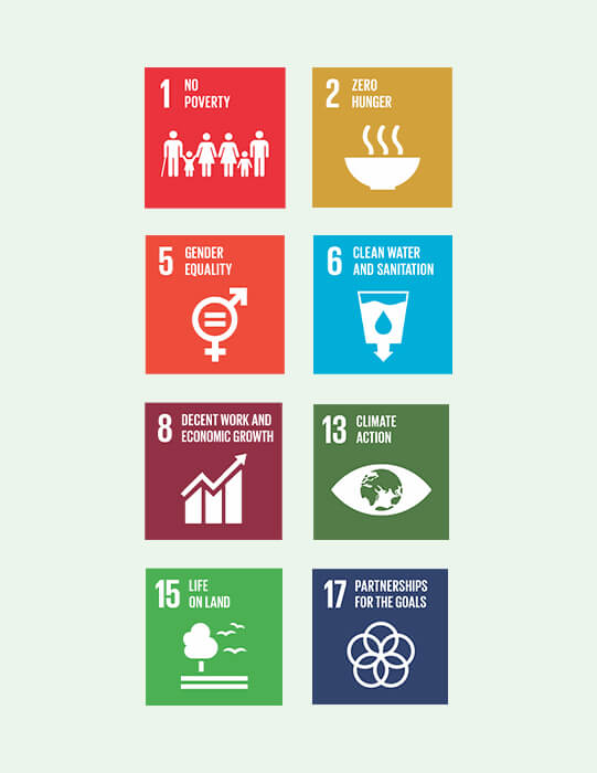 What are the Sustainable Development Goals (SDGs?) | Justdiggit