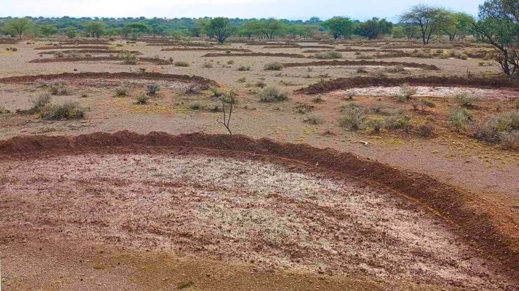 Digging over 4,000 bunds in the South Rift dedicated to Gino Mäder ...