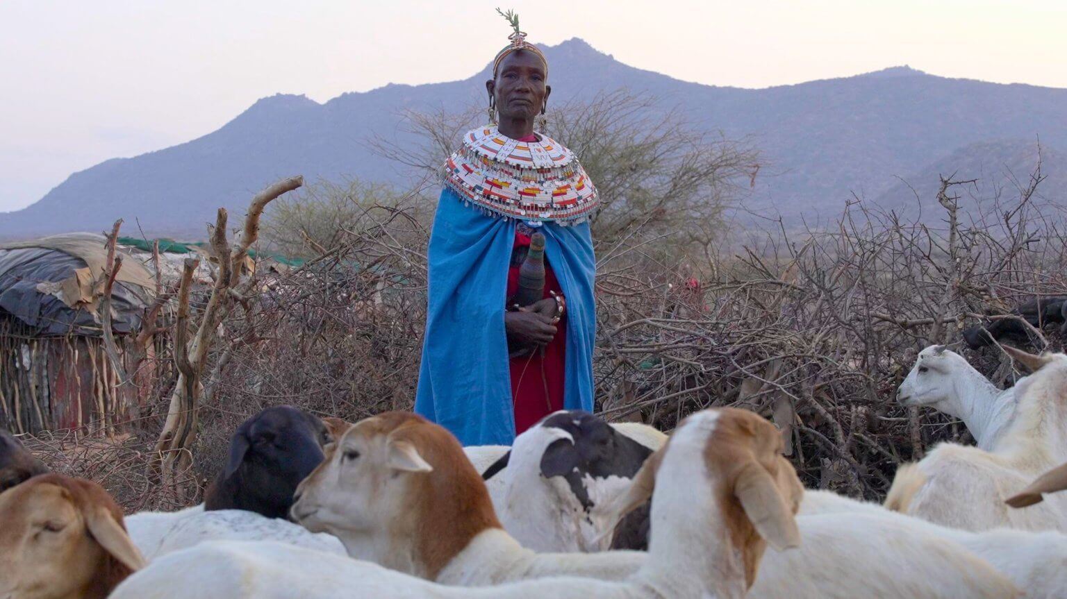 The Land Smiles Back: an award winning documentary - Justdiggit